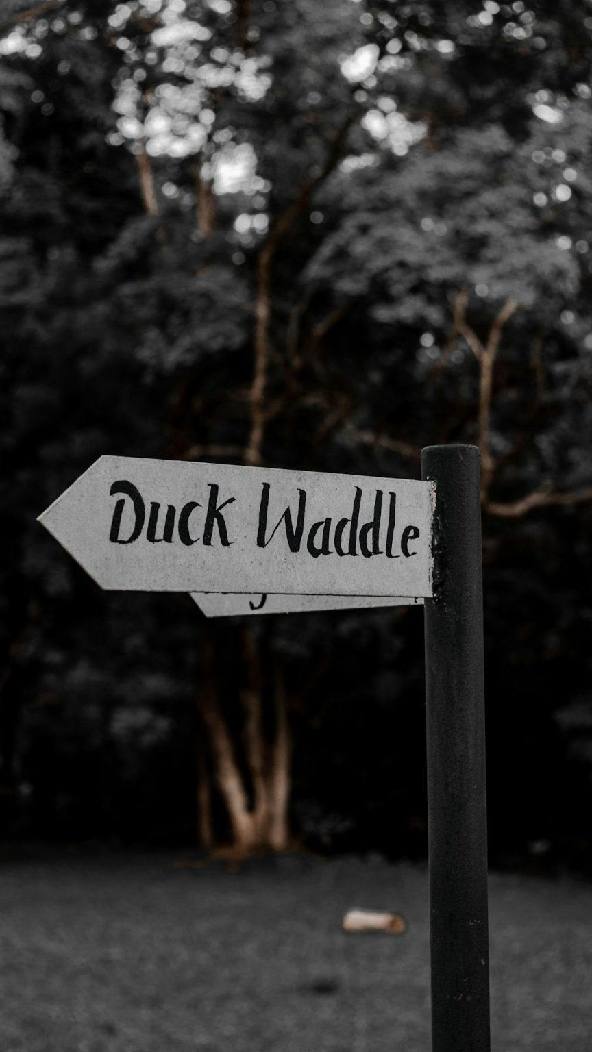 How to Do a Reverse GIF Search –Top 4 Search Engines | Code Carbon