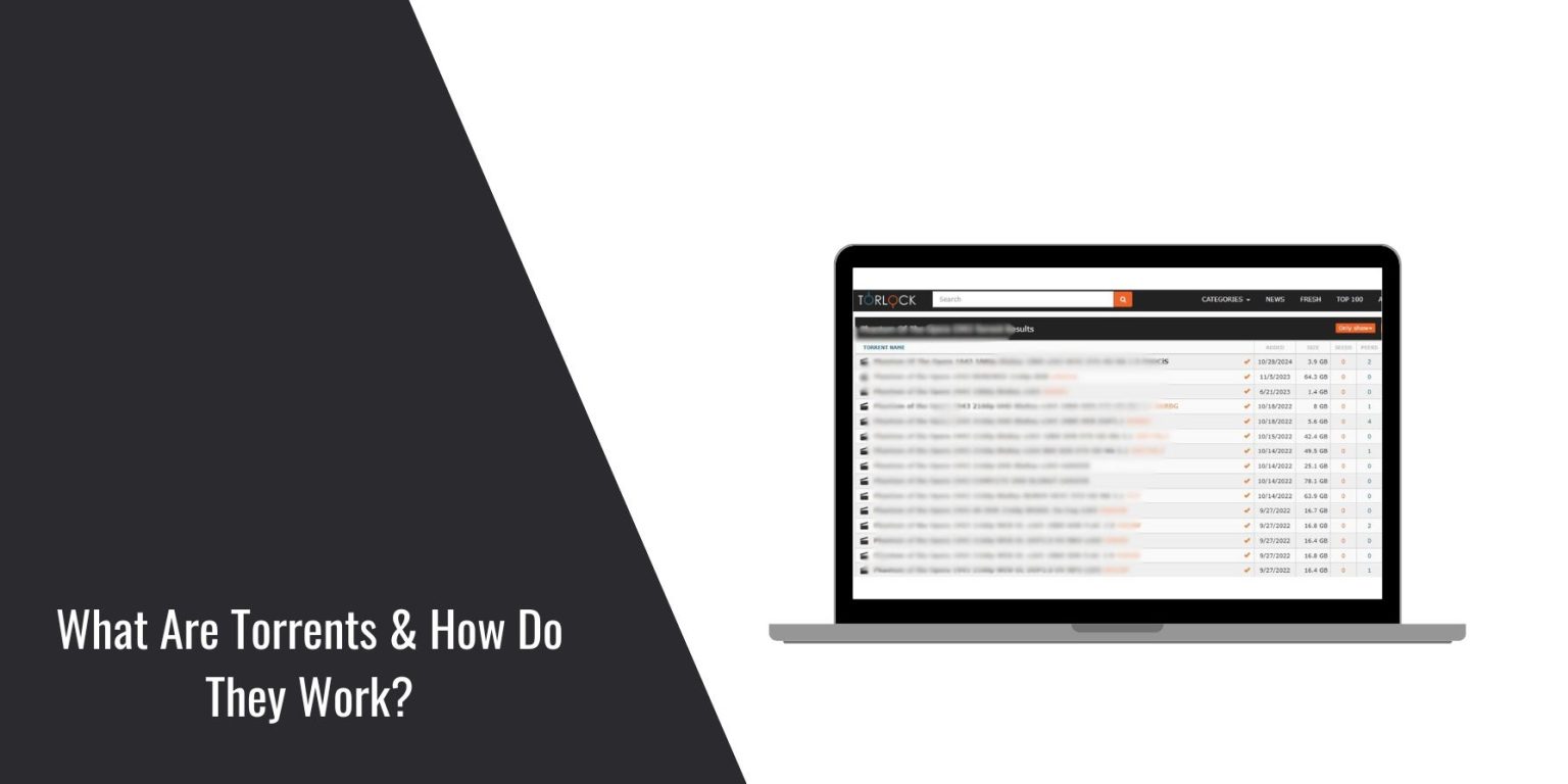 What Are Torrents & How Do They Work?