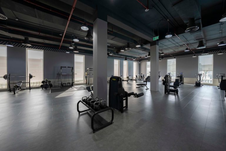 What Is OpenAI Gym? Complete Beginner’s Guide | Code Carbon