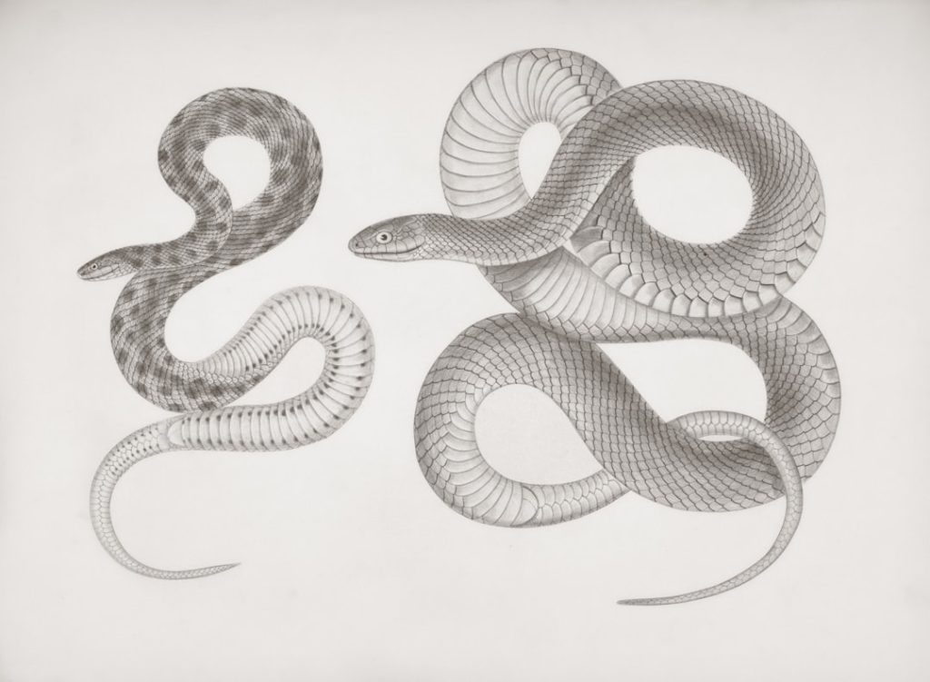 Best 5 Database Query & ORM Tools That Backend Devs Use for Rapid ...